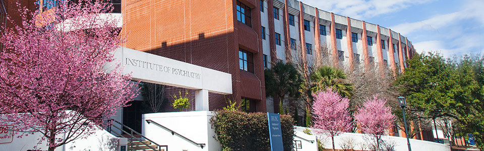 MUSC Health Center for Drug and Alcohol Program at Institute of ...